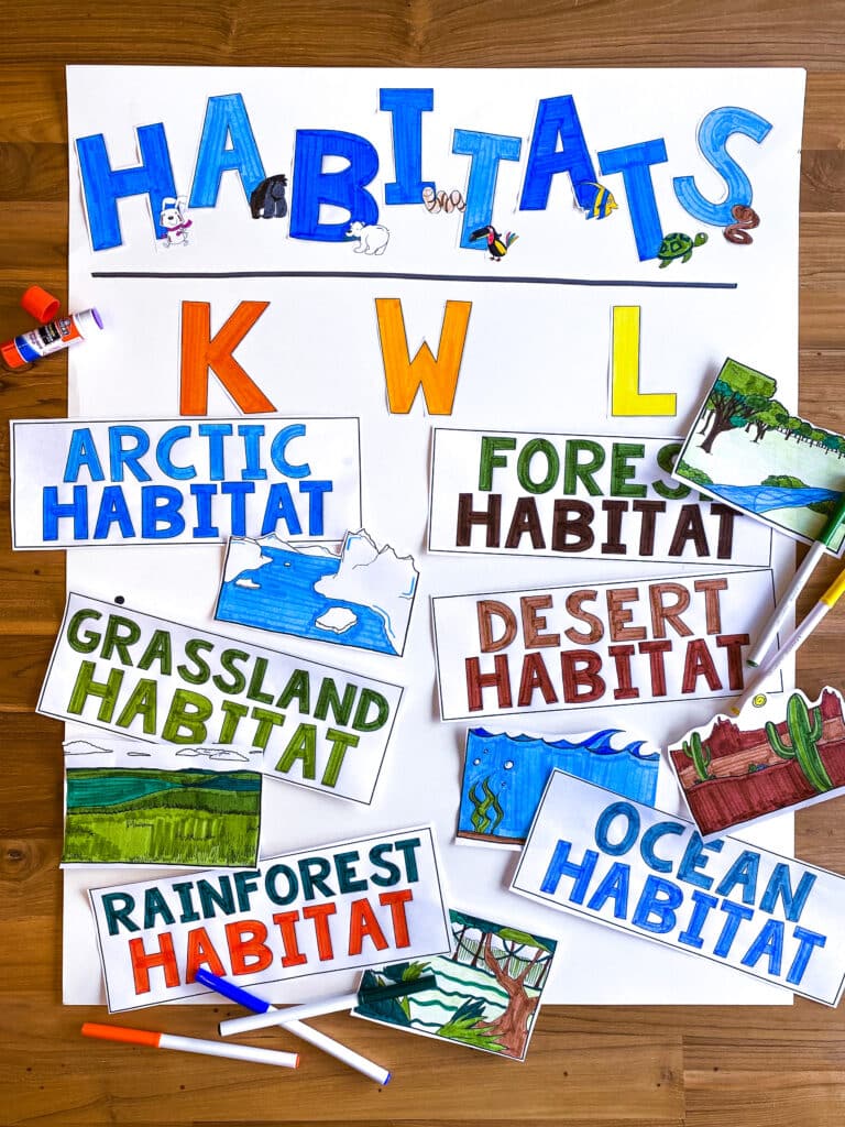 Earth Day In The Primary Classroom