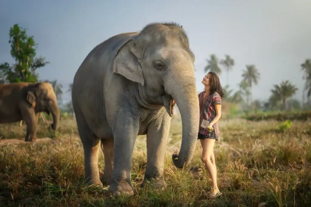 15 Places to visit in Pattaya with family – Updated for 2025