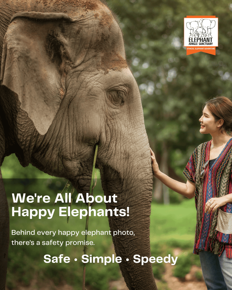 Home | Elephant Jungle Sanctuary Thailand