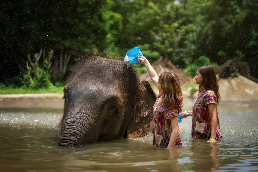Elephant Bathing in Thailand: Meaningful Ethical Experience