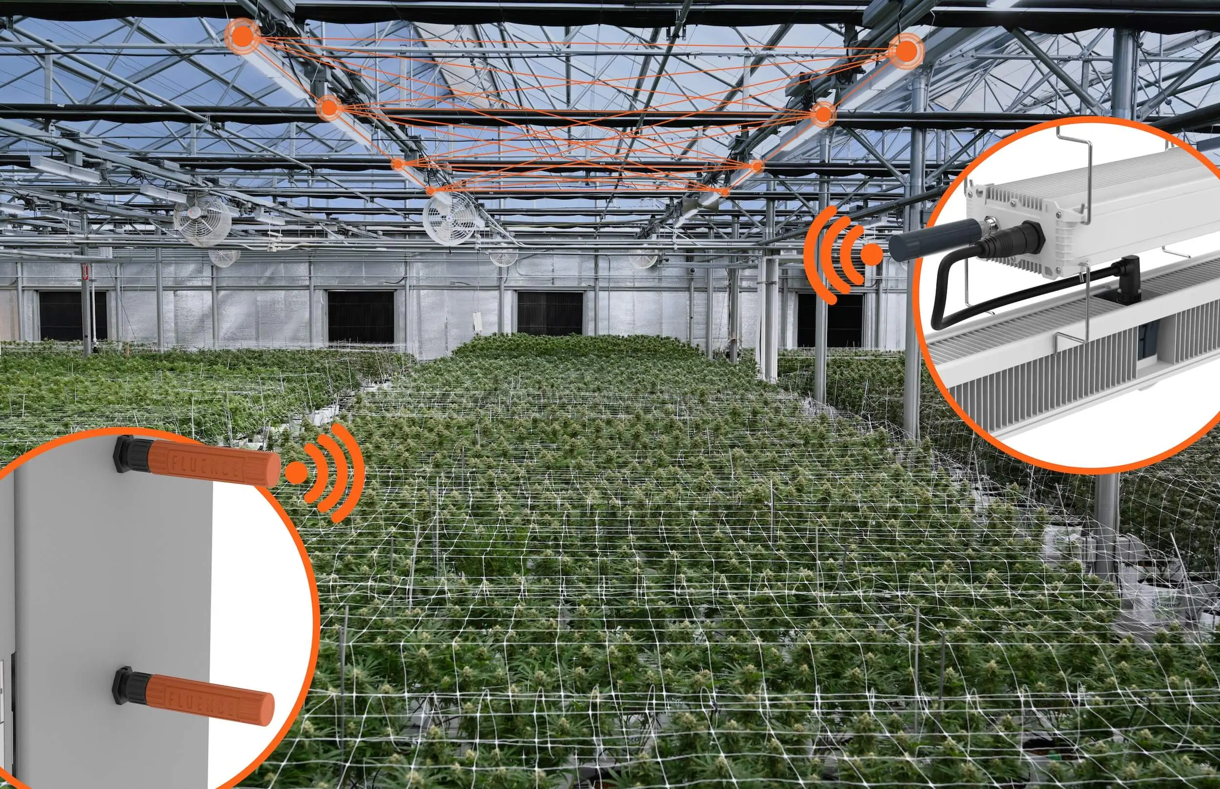 Wireless Flex Dimming: Adjustable Cannabis Light Control