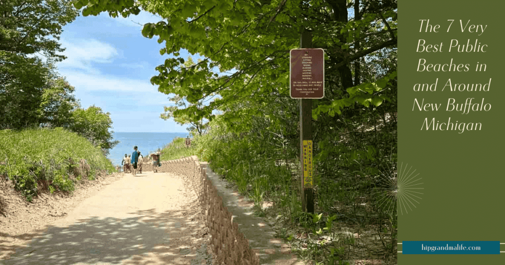 The 7 Very Best Public Beaches in and Around New Buffalo Michigan | Hip ...