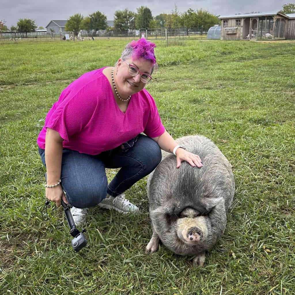 A Heartwarming Journey to Oinking Acres: A Pig Sanctuary Like No Other ...