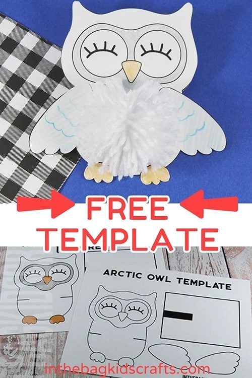 Arctic Owl Craft for Kids (FREE Owl Template) • In the Bag Kids' Crafts