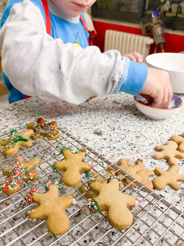 small gingerbread biscuits