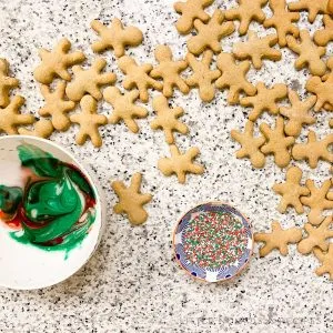 small gingerbread biscuits