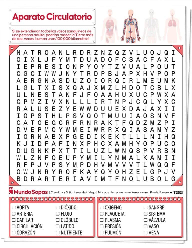 Sopa de Letras el Aparato Circulatorio en PDF | Mundo Sopas