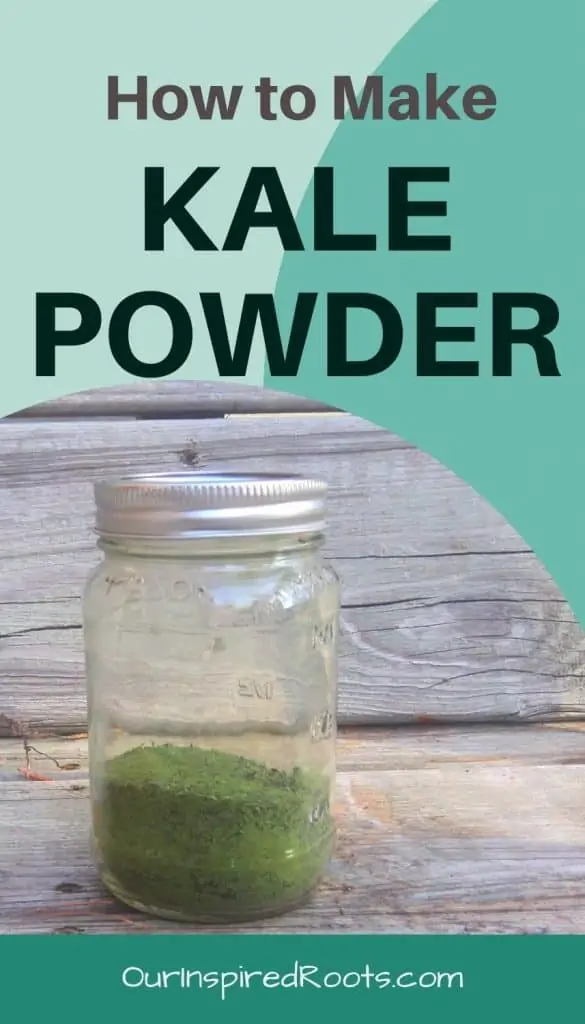 Homemade Kale Powder Recipe Our Inspired Roots