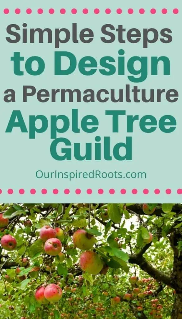 Apple Tree Guilds: Getting Started - Our Inspired Roots