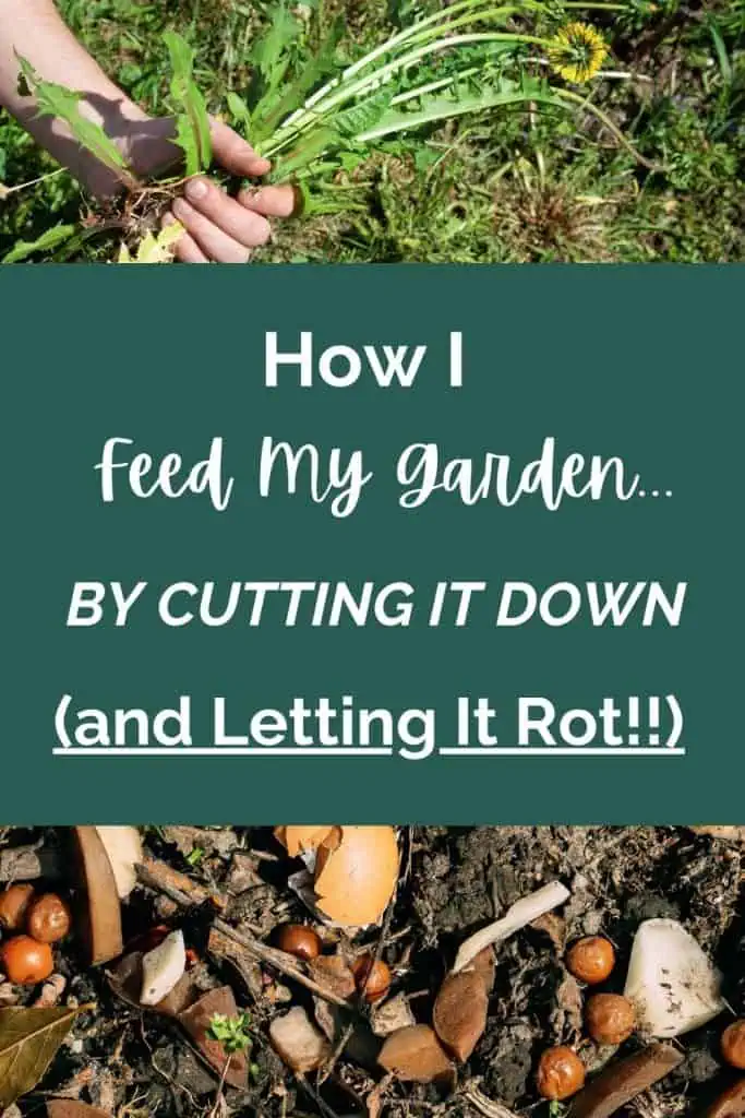 Chop And Drop Mulching: Easy Techniques For Healthy Soil