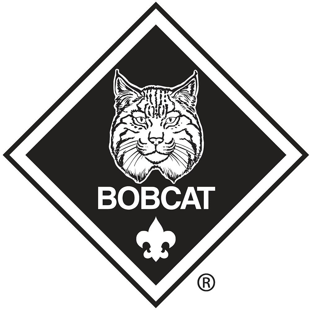 Cub Scout Ranks - Cub Scouts Pack 143 - Tampa, Florida