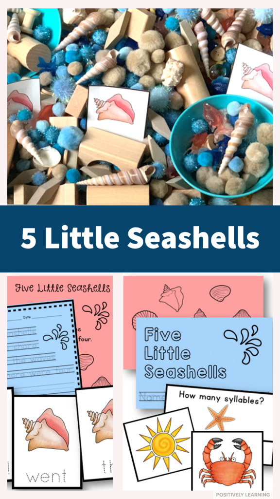 seashells preschool