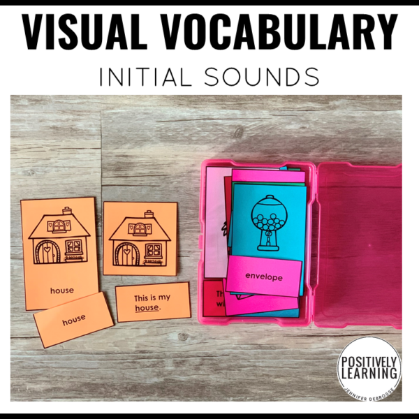 Alphabet Visual Vocabulary Cards - Positively Learning