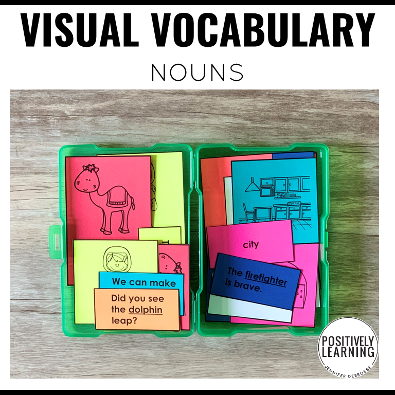 Noun Vocabulary Cards - Positively Learning