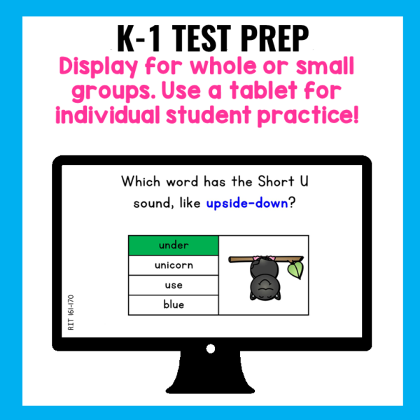 Reading Test Prep Practice - Positively Learning