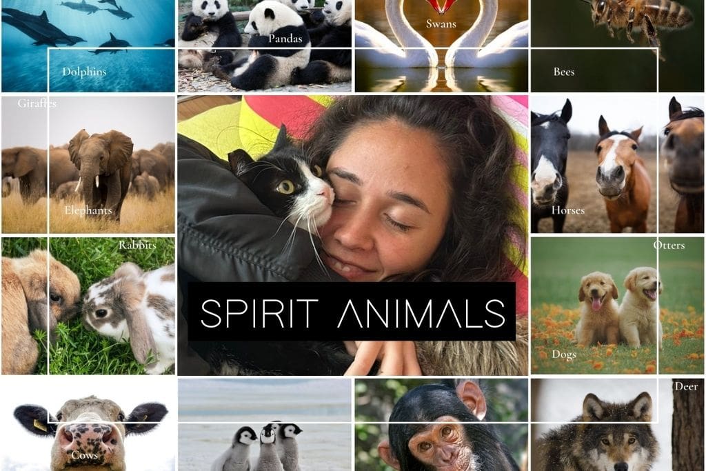 Zodiac spirit animal quiz 60 photos - Astrologytoyou.com