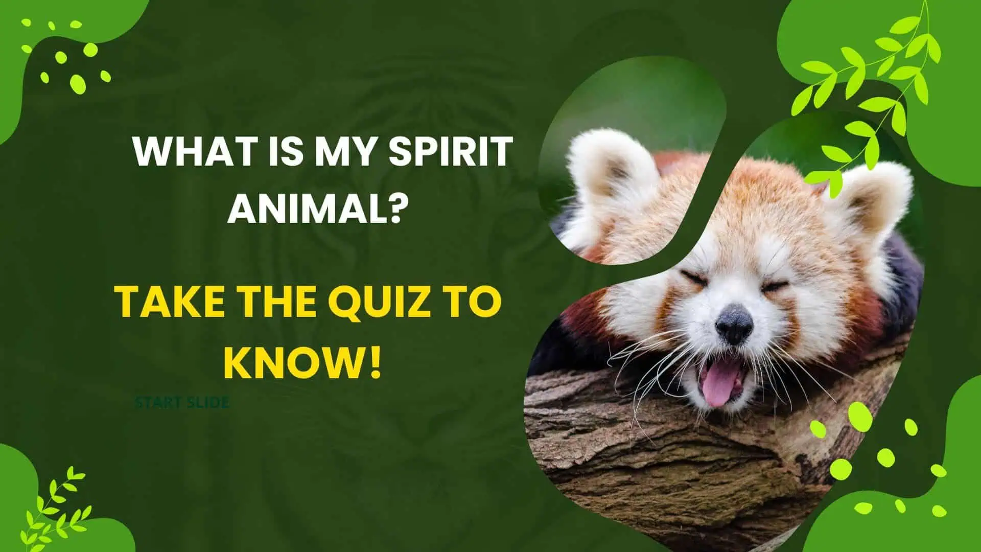 What Is My Spirit Animal? Take This Fun Quiz To Know!