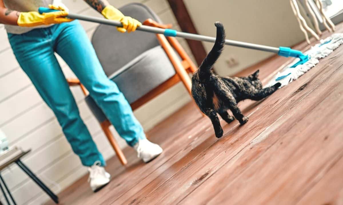 5 All-Natural Pet-Safe Cleaning Products to Make Your Home Shine - Shed ...