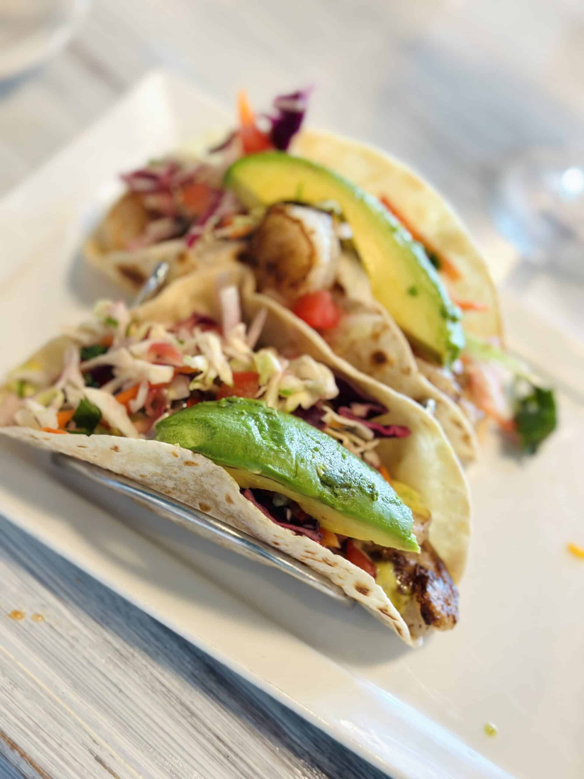 Captiva Island Restaurant Archives - The Shipyard