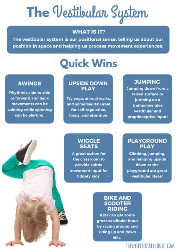 Sensory Processing Info & Quick Wins Handout Pack – The Inspired Treehouse