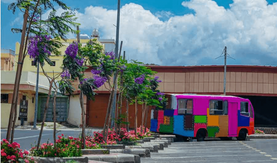 Abha is Purple & Blooming with Jacaranda Trees Right Now! | Soul of Saudi