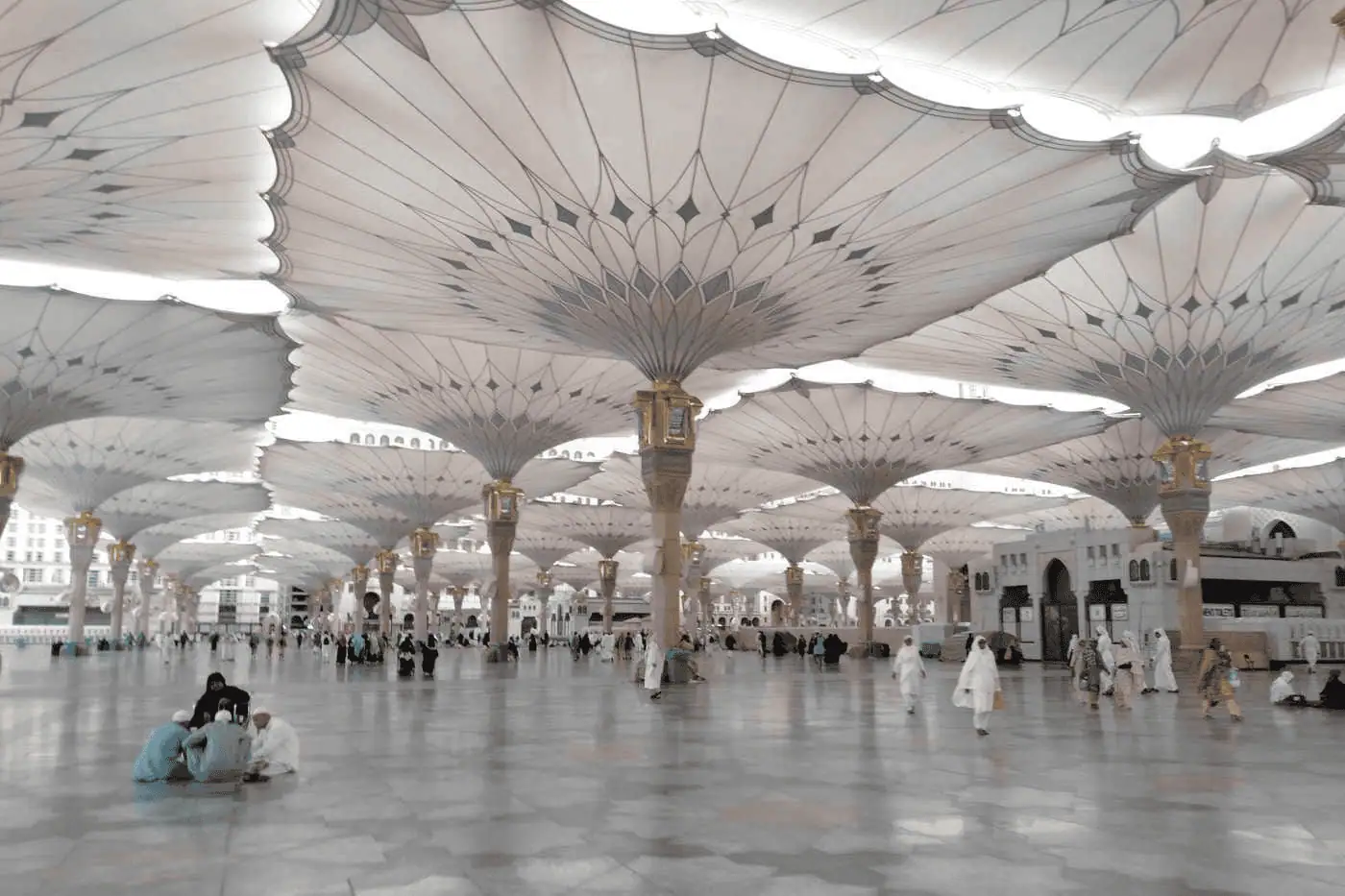 The Umbrellas at the Prophet’s Mosque | Shade, Spirit & Science
