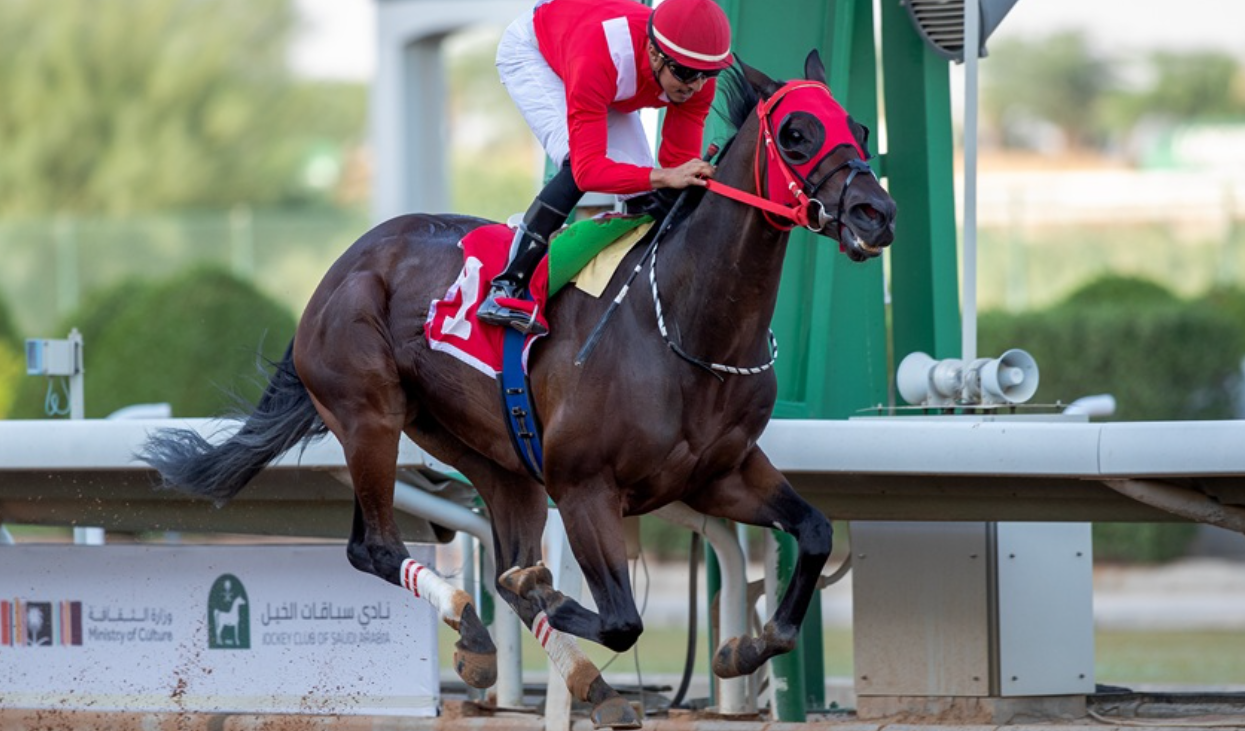 Riyadh Racing Season 2025 | Equestrian Glory in Saudi Arabia