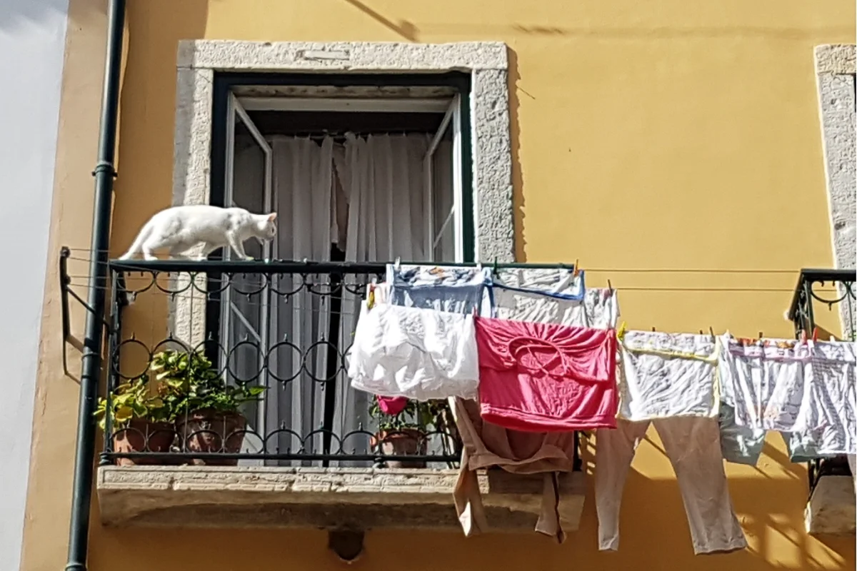 Lisbon Walking Routes: 6 Self-Guided Walks With Map (2026)
