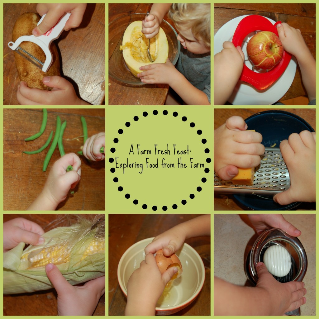 Fine Motor Skills Development and Farm Activities for Kids