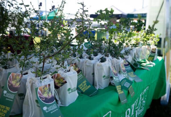 Bartlett Tree Experts Distributes Over 50,000 Trees for Arbor Day