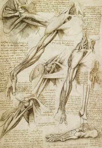 durer drawing instruments