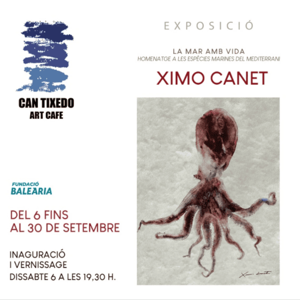Expoziție Ximo Canet în Can Tixedó - Plans Ibiza 2025