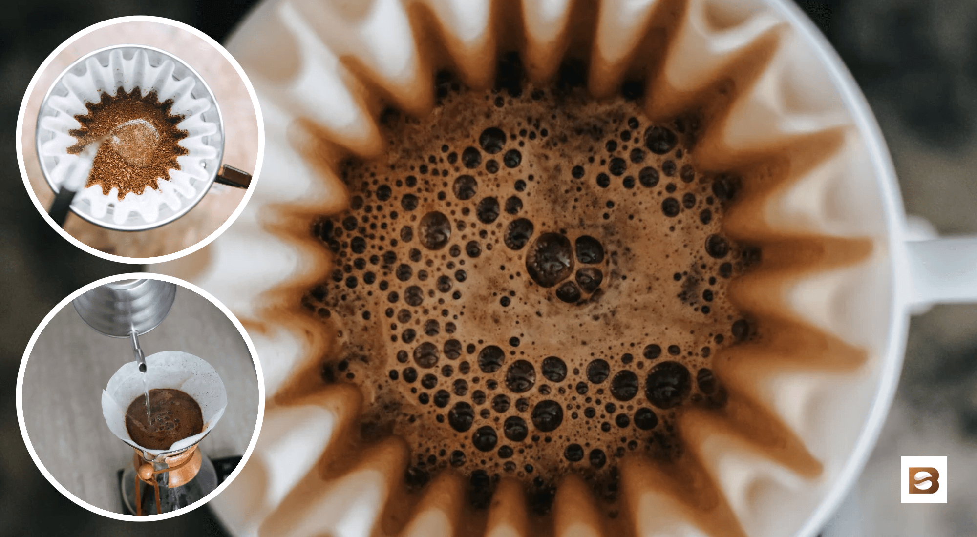 What Is A Coffee Bloom? Why Does It Matter? • Bean Ground