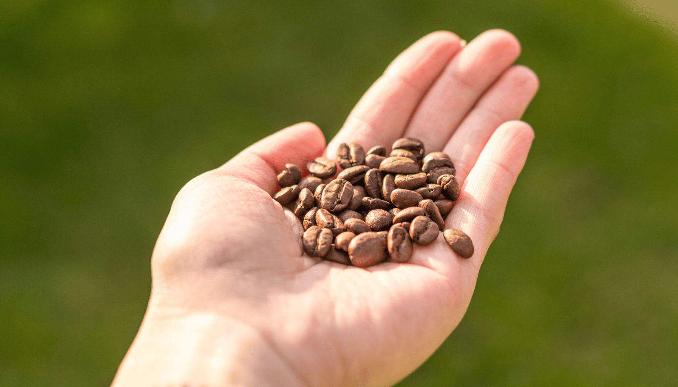 Coffee Acidity Explained: What It Is, How It Affects Taste, and How to ...