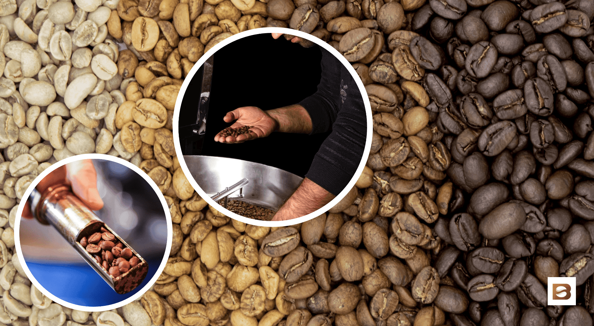 Types Of Coffee Roasts Explained (Light, Medium, Dark) • Bean Ground