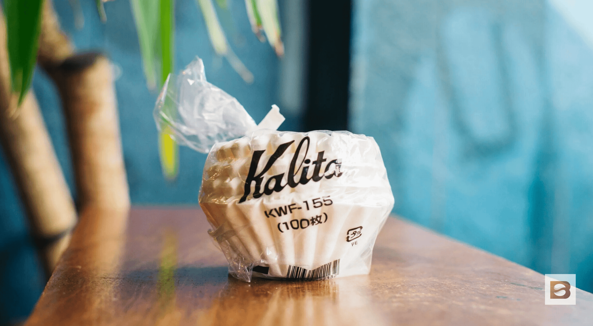 Cone vs. Flat-Bottom Coffee Filter: Does Shape Really Matter? - Bean Ground