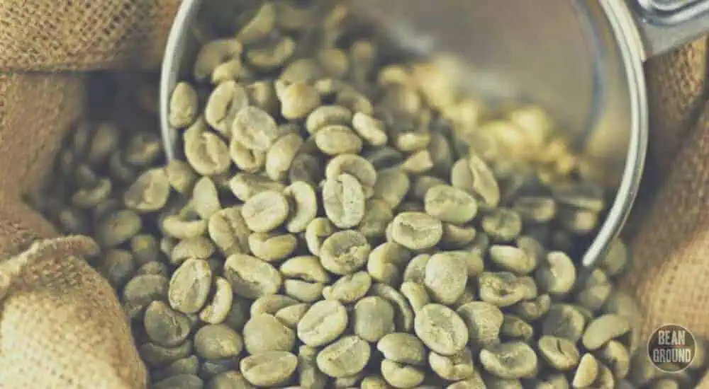 What Is Coffee Degassing And Why Does It Matter? • Bean Ground