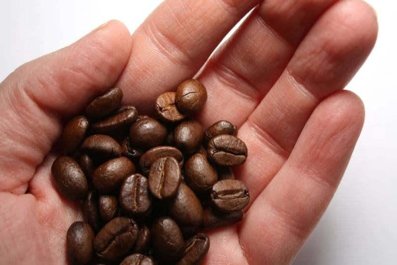 How To Brew Jamaican Blue Mountain Coffee? - Bean Ground