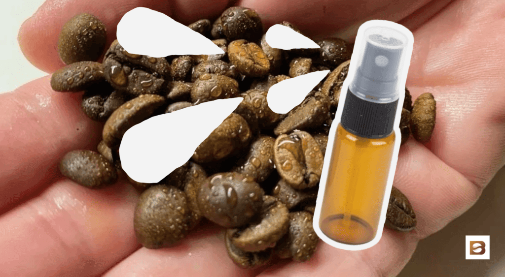 What Is The RDT Coffee Technique? And Who Is Ross? - Bean Ground