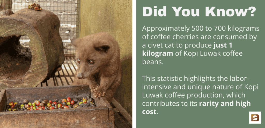 What Is Kopi Luwak? A Closer Look At Cat Poop Coffee • Bean Ground