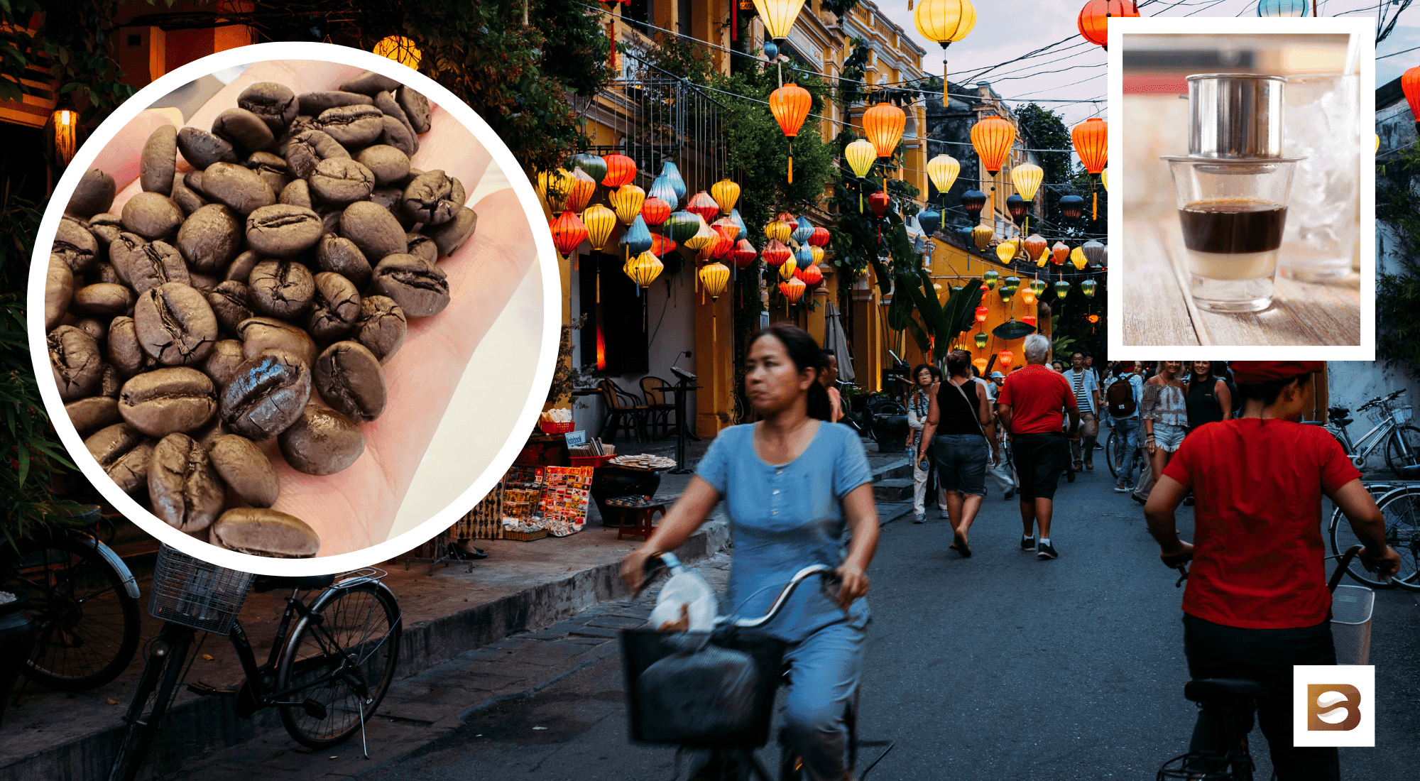 What Is Bird Poop Coffee? Wow! Coffee Beans From Bird Droppings - Bean ...