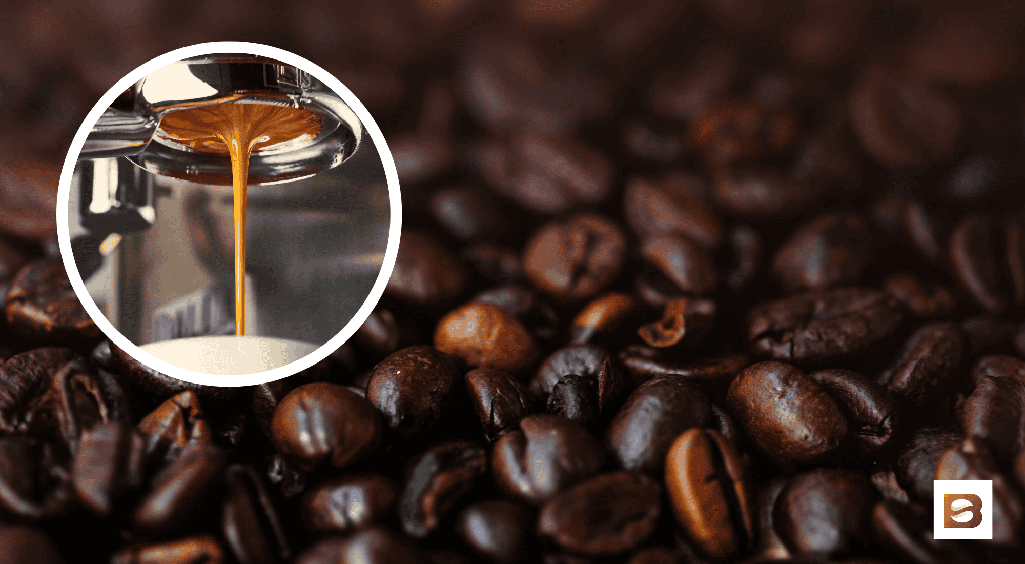 French vs Italian Roast Coffee: Exploring the Dark Roast Differences ...