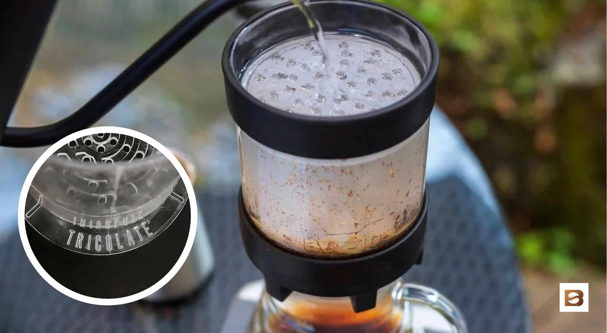 Should You Rinse Paper Coffee Filters Before Brewing? • Bean Ground