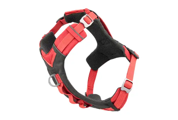 6 Best Dog Harnesses For Small Dog Breeds In 2025 - DOGGYTASTIC