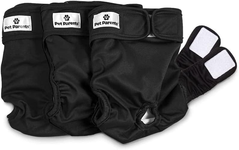 A Guide On Dog Diapers For Male And Female Dogs - DOGGYTASTIC