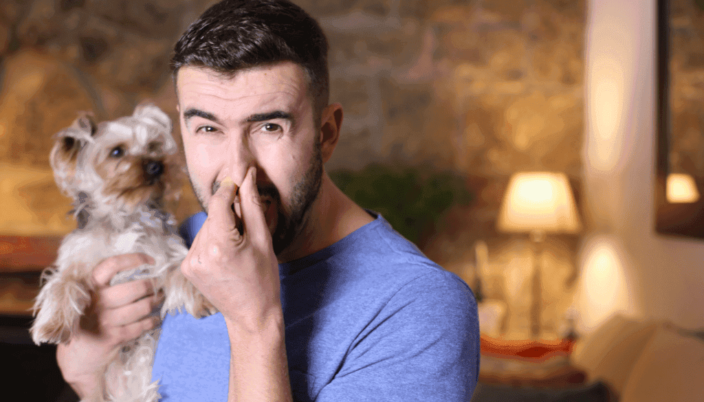 8 Dog Breeds That Fart A Lot: Gassy Canines Exposed - Doggytastic!