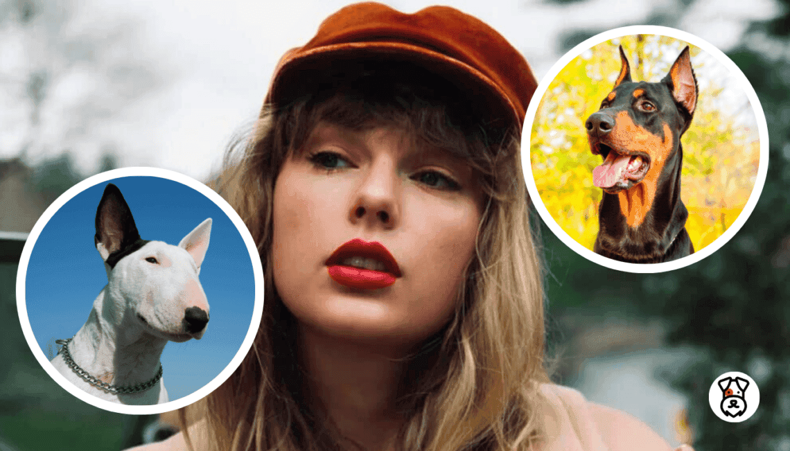 Does Taylor Swift Have A Dog? We've Got The Answers For You! - Doggytastic!