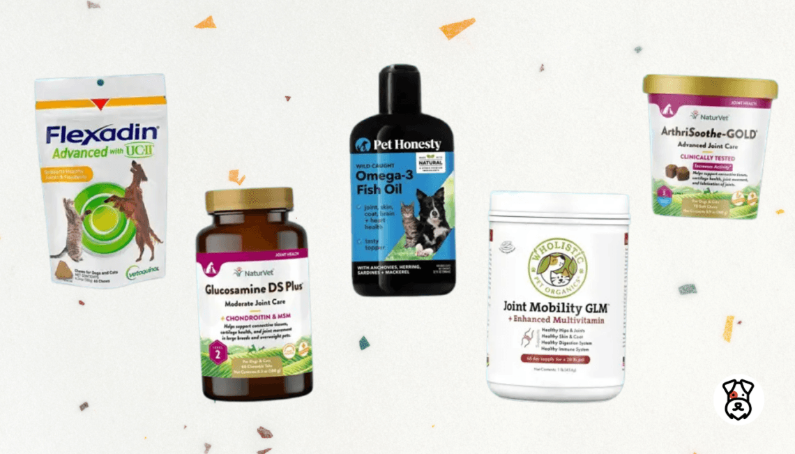 The 6 Best Dog Joint Health Supplements For 2025 - Doggytastic!