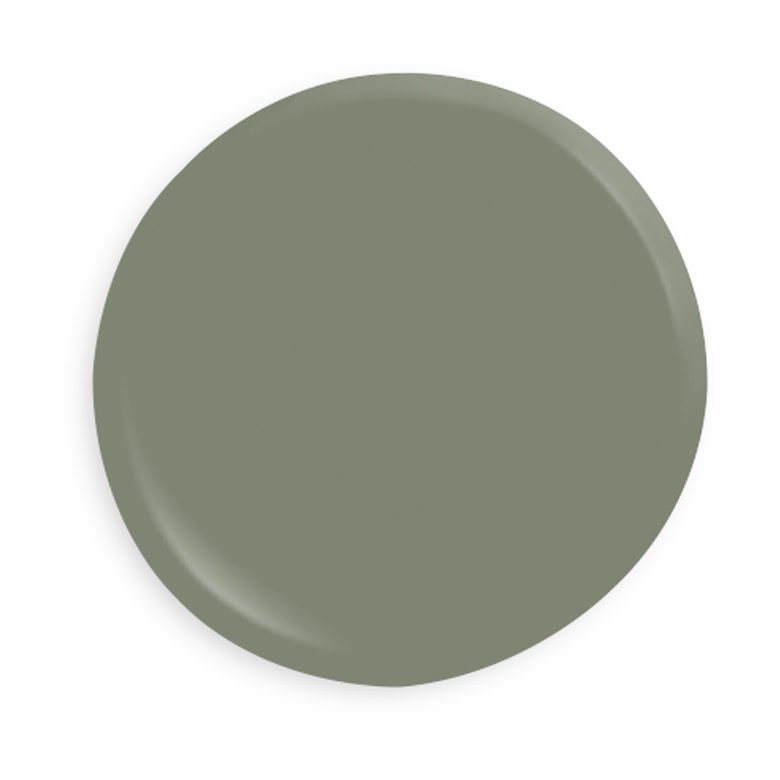 Valspar Reserve Warm Eucalyptus Interior Paint + Primer - Drew & Jonathan