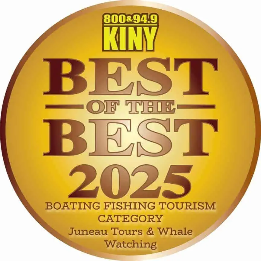 Whale Watching in Juneau | Alaskan Marine Wildlife Tour